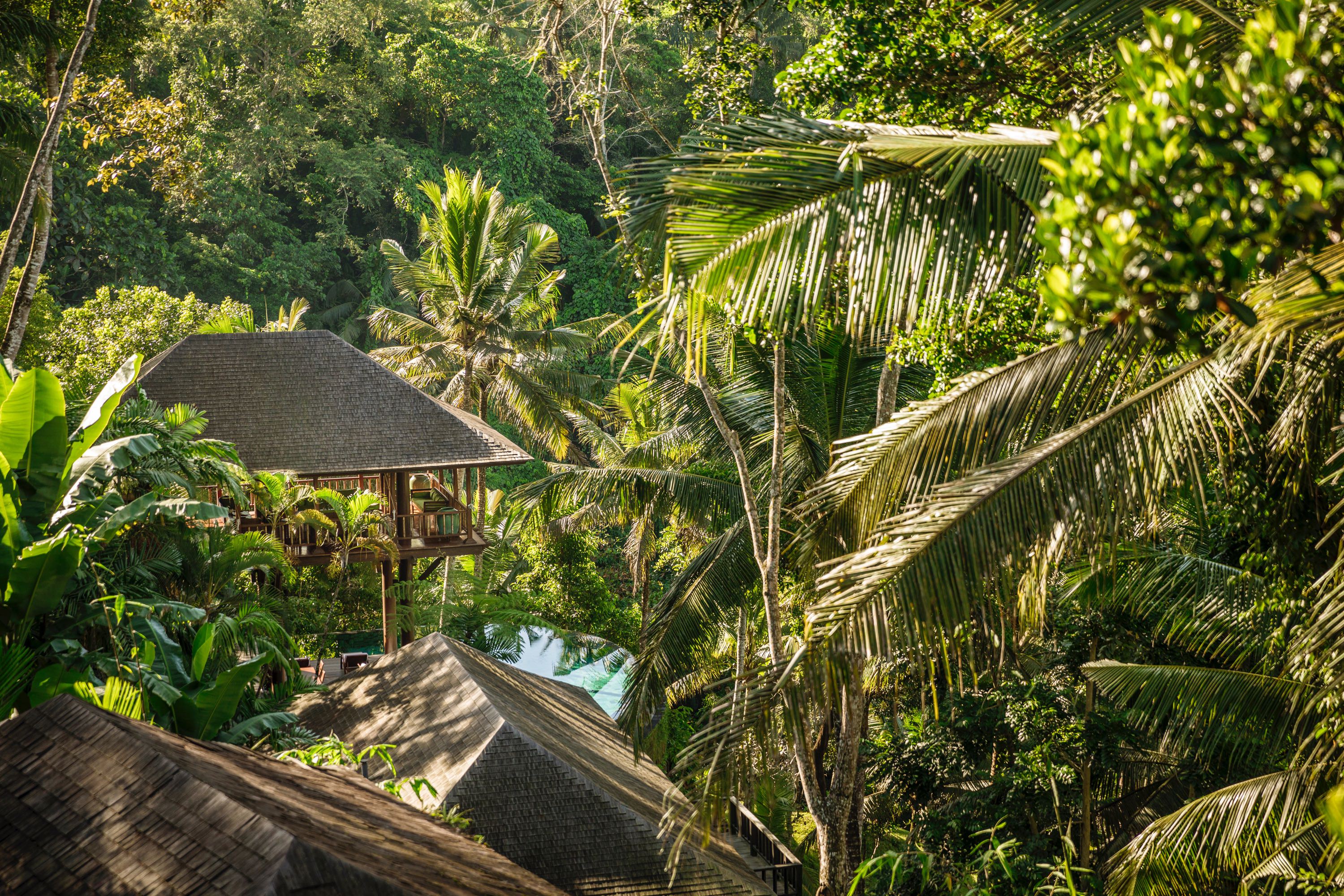 COMO Shambhala Estate: Luxus Wellbeing Retreat